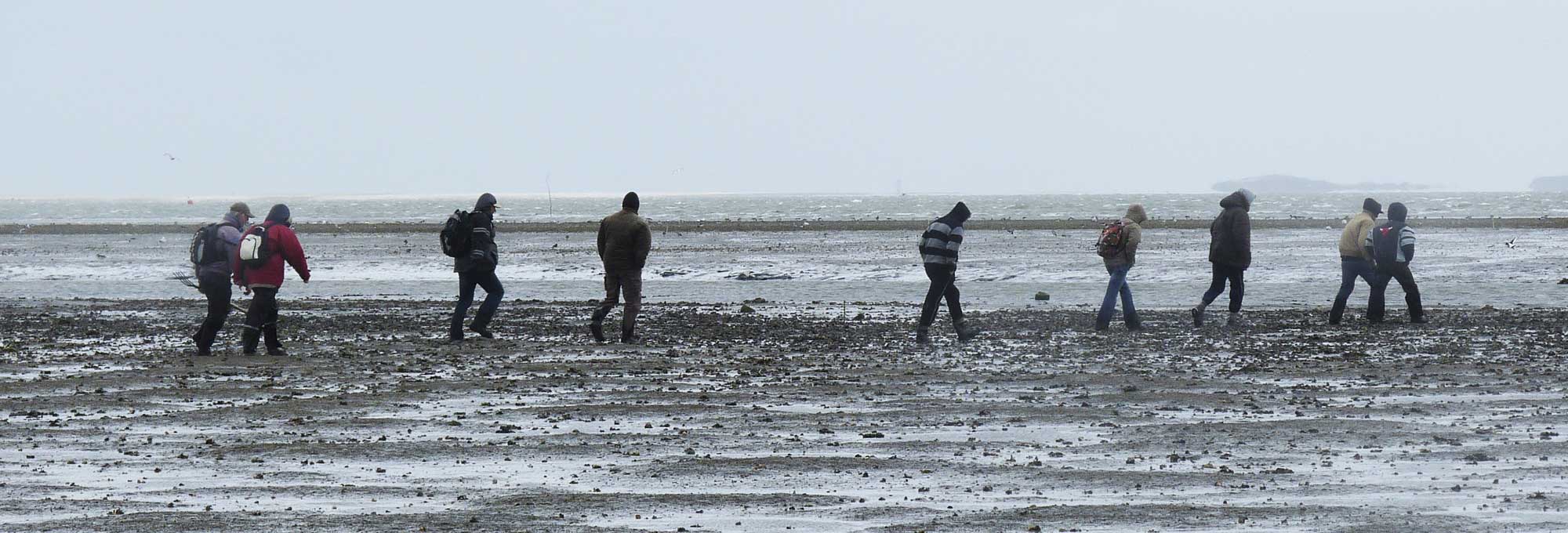 Het team van de Skuul